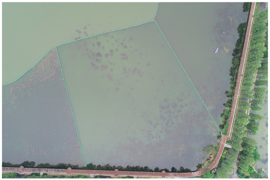 Submerged Macrophyte Restoration in Enclosure: A Proper Way for ...