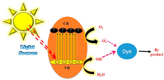 Water | Free Full-Text | Antibacterial and Photocatalytic Dye Degradation Activities of Green ...