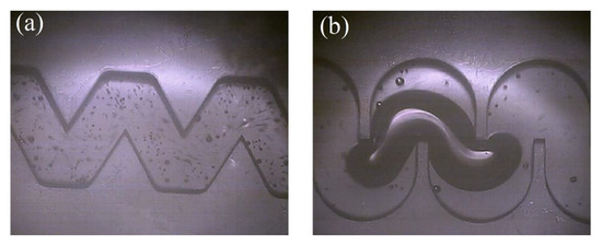 Motion Characteristics of Gas–Liquid Two-Phase Flow of Microbubbles in ...