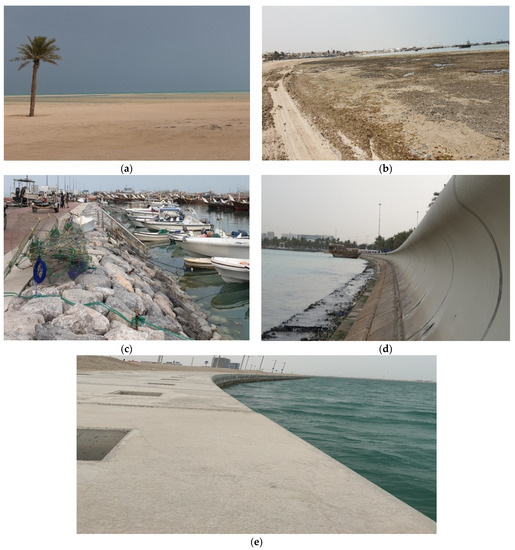 Assessment of the Impact of Anthropogenic Evolution and Natural Processes on Shoreline Dynamics ...