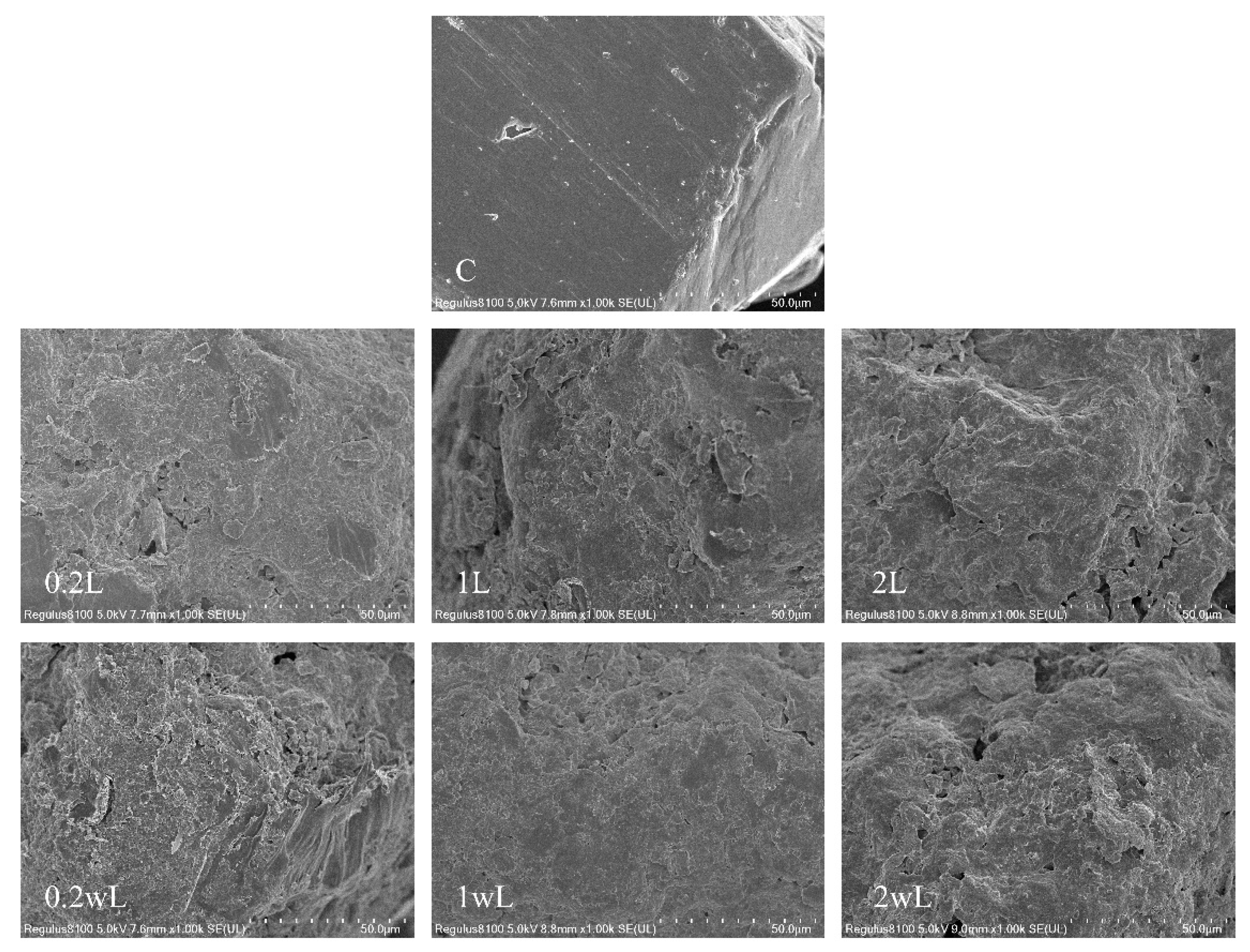 Polyethylene Microplastic Particles Alter the Nature, Bacterial ...