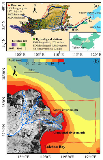 Impacts of Riverine Floods on Morphodynamics in the Yellow River Delta