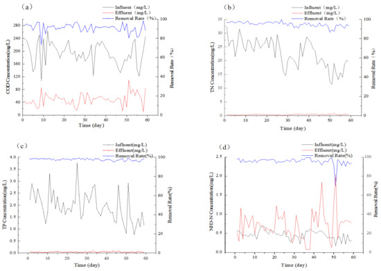 Water | Free Full-Text | Municipal Sewage Treatment Technology: A2/O ...