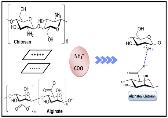 Sodium Alginate-Based Composite Films for Effective Removal of Congo ...