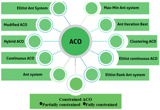 Water | Free Full-Text | Ant-Inspired Metaheuristic Algorithms for ...