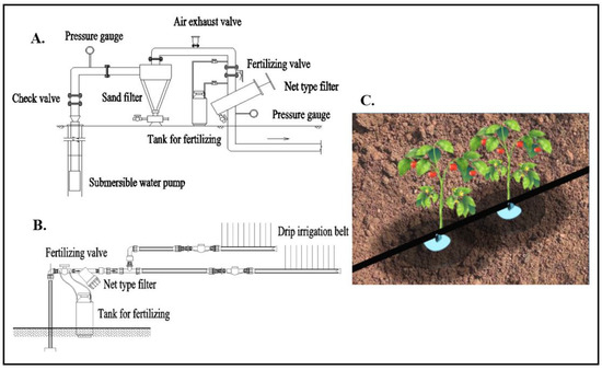 Water | Free Full-Text | Review on Drip Irrigation: Impact on Crop ...