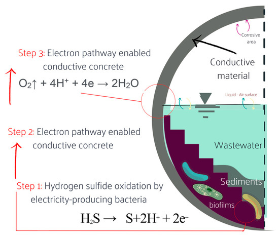 Utilizing Electricity-Producing Bacteria Flora to Mitigate Hydrogen ...