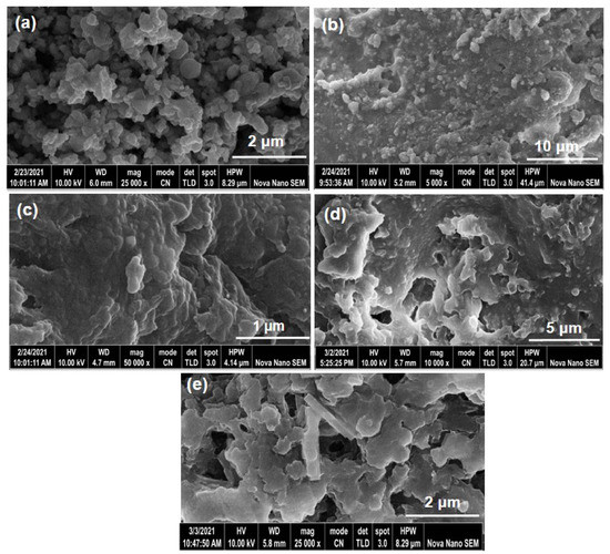 Design and Preparation of Magnetically-Oriented Poly(styr-co-MMA)-3MPS ...