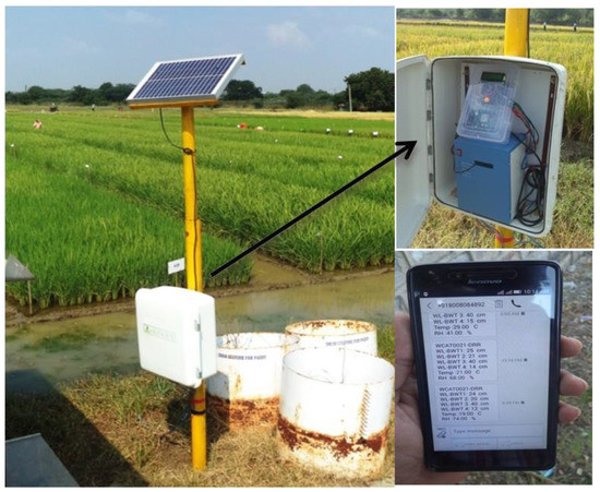 Water | Free Full-Text | Maximizing Water Use Efficiency in Rice ...