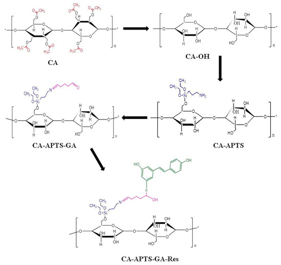 Cellulose Acetate-Based Materials for Water Treatment in the Context of ...