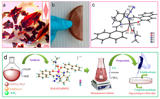 Cellulose Acetate-Based Materials for Water Treatment in the Context of ...