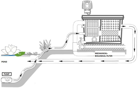 Natural Swimming Ponds as an Application of Treatment Wetlands—A Review