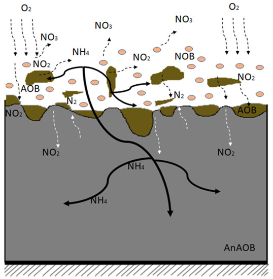 A Review of Rotating Biological Contactors for Wastewater Treatment