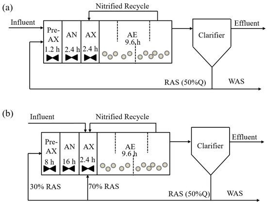 Water | Free Full-Text | Impact of Dissolved Oxygen on the Performance ...