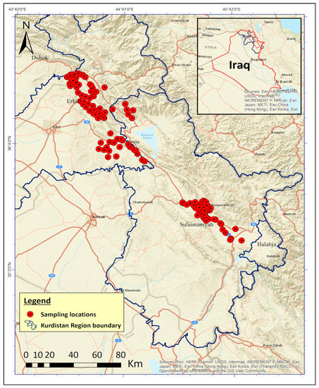 Water | Free Full-Text | Geogenic Sources of Arsenic and Fluoride in ...
