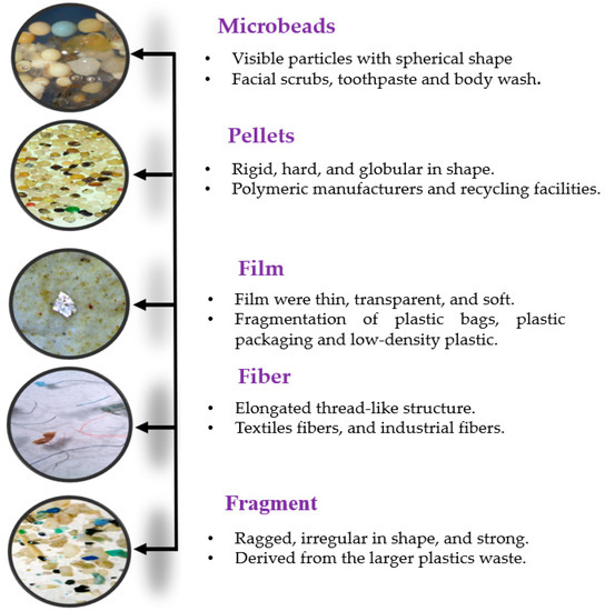 A Global Perspective on Microplastic Occurrence in Sediments and Water with a Special Focus on ...