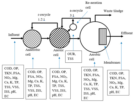 Growing an Enhanced Culture of Polyphosphate-Accumulating Organisms to ...