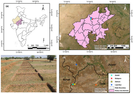 Scaling Up Indigenous Rainwater Harvesting: A Preliminary Assessment in ...