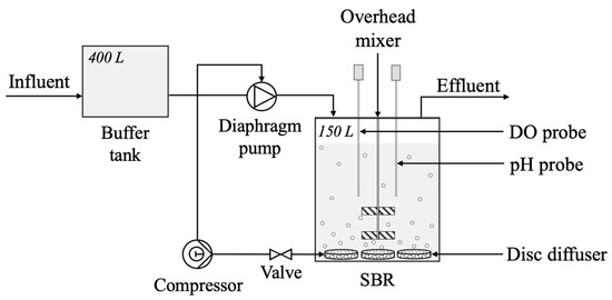 Pilot Study of Oxic–Anoxic Process under Low Dissolved Oxygen for ...