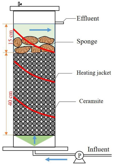 Study on the Treatment of Simulated Recirculating Mariculture ...