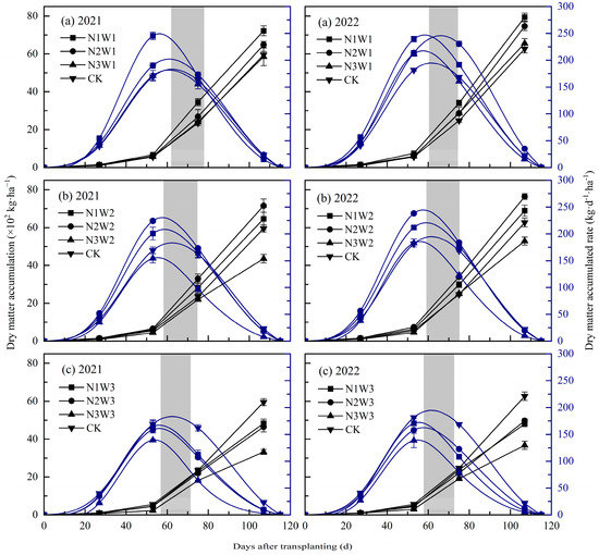 Plant Photosynthesis and Dry Matter Accumulation Response of Sweet ...