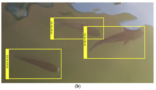Measuring and Evaluating the Speed and the Physical Characteristics of ...