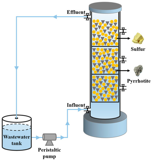 Simultaneous Removal of Nitrate and Phosphate in a Pyrrhotite and ...