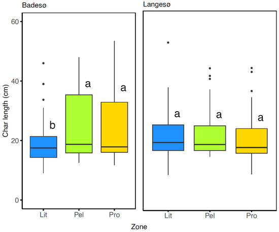 The Importance of Habitat and Lake Morphometry for the Summer Diet ...