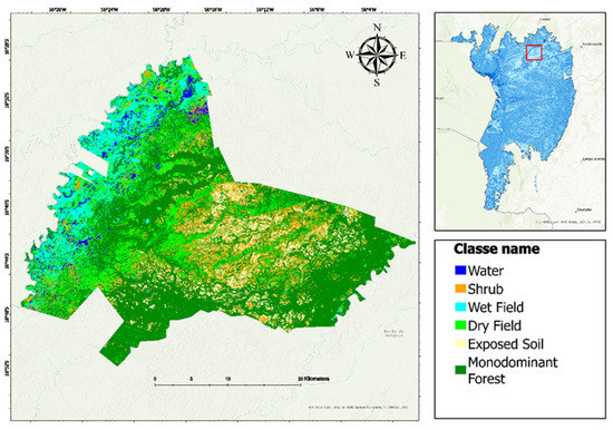 Hydrological Dynamics of the Pantanal, a Large Tropical Floodplain in ...
