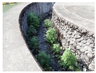 Quantifying Vegetation on a Rock-Ramp Fishway for Fish Run-Up and ...