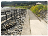 Quantifying Vegetation on a Rock-Ramp Fishway for Fish Run-Up and ...