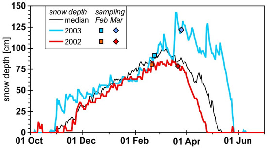 Snow Surface Roughness across Spatio-Temporal Scales