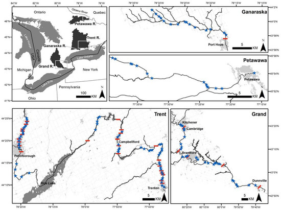 Water | Free Full-Text | Using Multiscale Environmental and Spatial ...