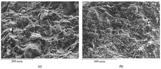 Applicability of Zeolite from the Daubabinsk and Chankanai Deposits as ...