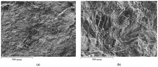 Applicability of Zeolite from the Daubabinsk and Chankanai Deposits as ...