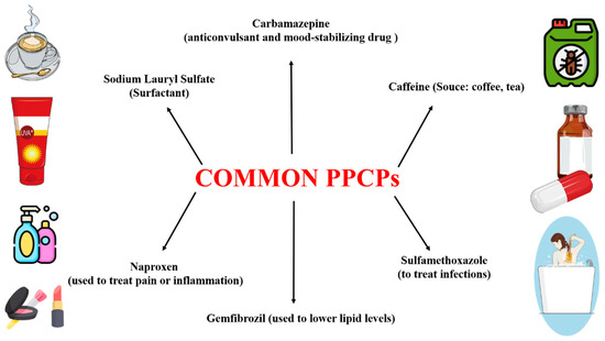 Fungal-Based Remediation in the Treatment of Anthropogenic Activities ...