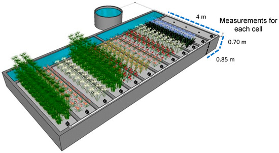 Full-Scale Constructed Wetlands Planted with Ornamental Species and PET ...