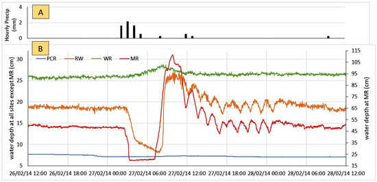 Characterising Rhythmic and Episodic Pulsing Behaviour in the Castleton ...