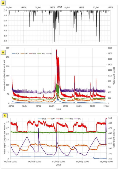 Characterising Rhythmic and Episodic Pulsing Behaviour in the Castleton ...
