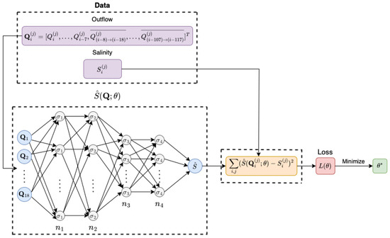 Water | Free Full-Text | Physics-Informed Neural Networks-Based Salinity Modeling in the ...