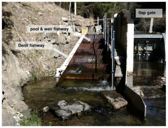 Comparative Biotic Monitoring of a Modified Denil Fishway and a Pool ...