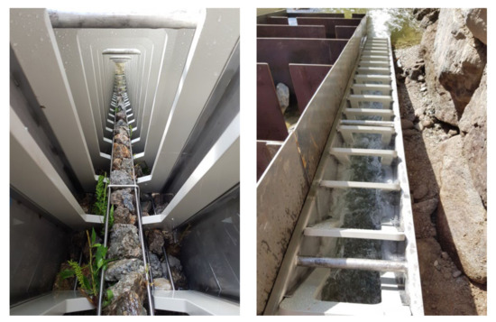 Comparative Biotic Monitoring of a Modified Denil Fishway and a Pool ...