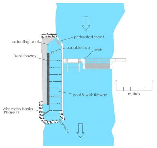 Comparative Biotic Monitoring of a Modified Denil Fishway and a Pool and Weir Fishway on a Small ...
