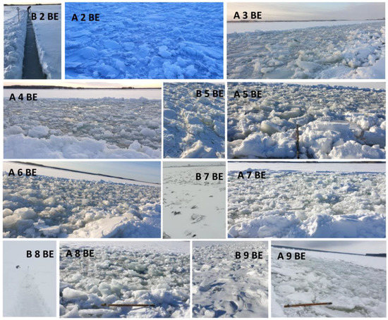 Observations of Snow–Slush–Snow Ice Transformation and Properties of ...