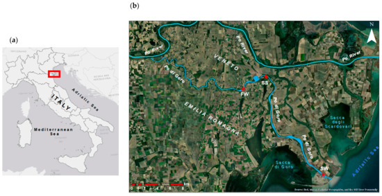 Drought-Induced Salinity Intrusion Affects Nitrogen Removal in a ...