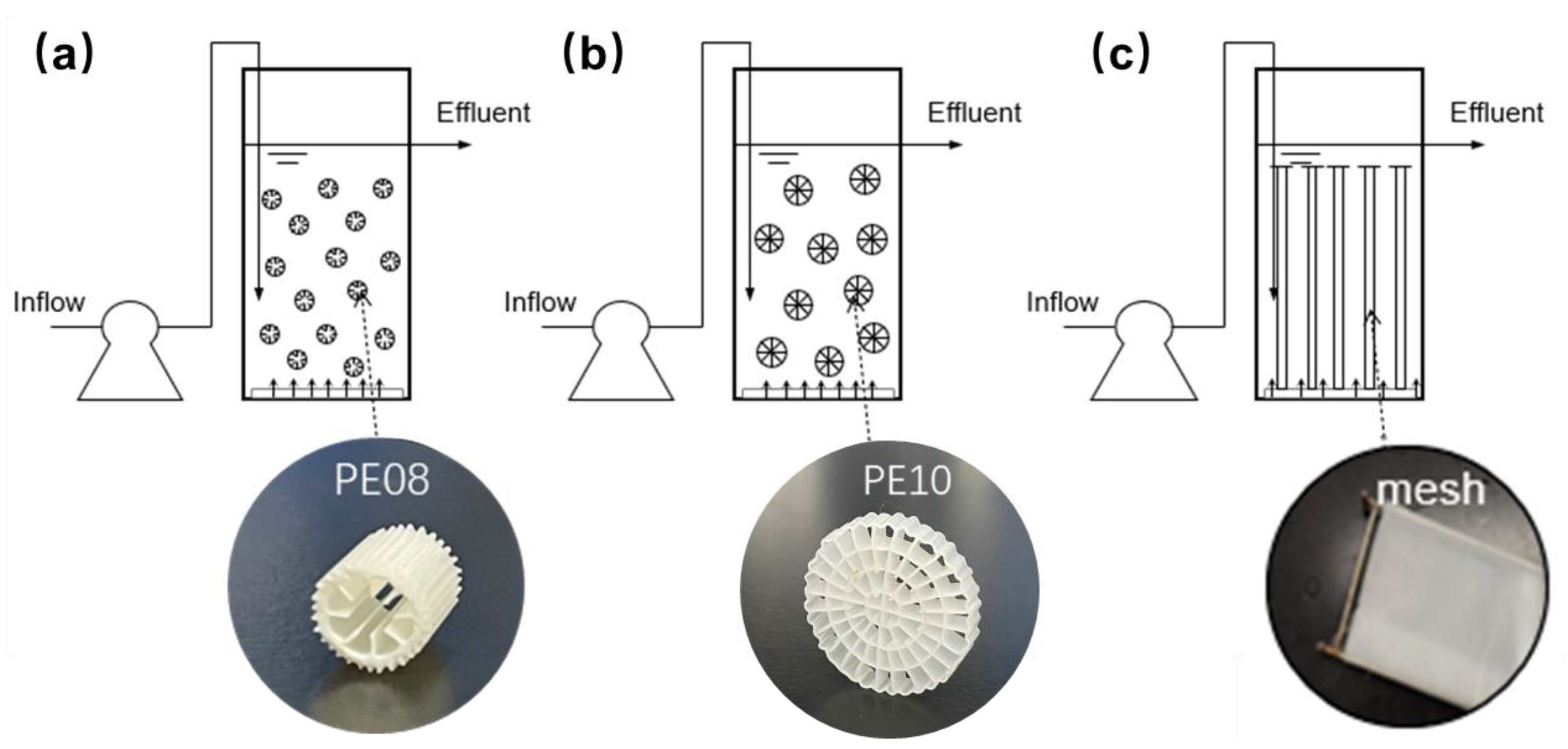 Biofilm Reactor with Permeable Materials as Carriers Archives Better ...