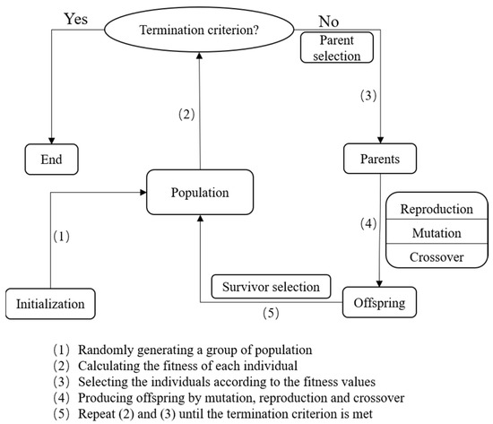 Fast Prediction of Solute Concentration Field in Rotationally Influenced Fluids Using a ...