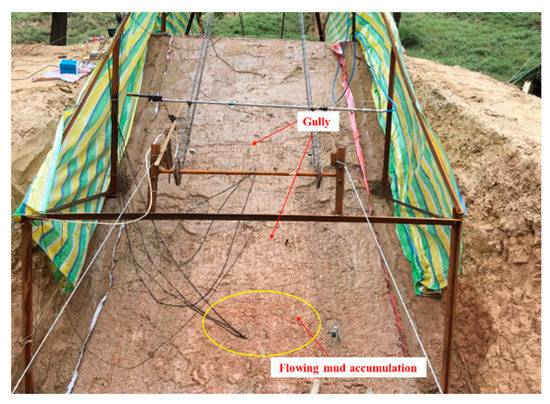 Measured Rainfall Infiltration and the Infiltration Interface Effect on ...