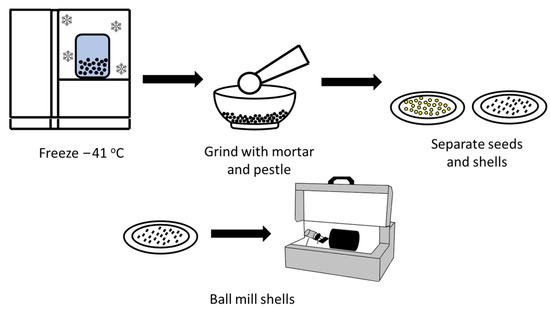 Biodiesel Production Directly from Rapeseeds