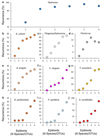 The Diversity, Structure, and Development of the Epibiont Community of ...